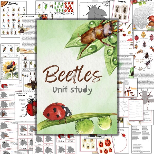 Beetle - Etsy