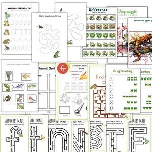 Amphibian Unit Study, Frogs Unit Study, Frogs 3 Part Cards, Frog ...
