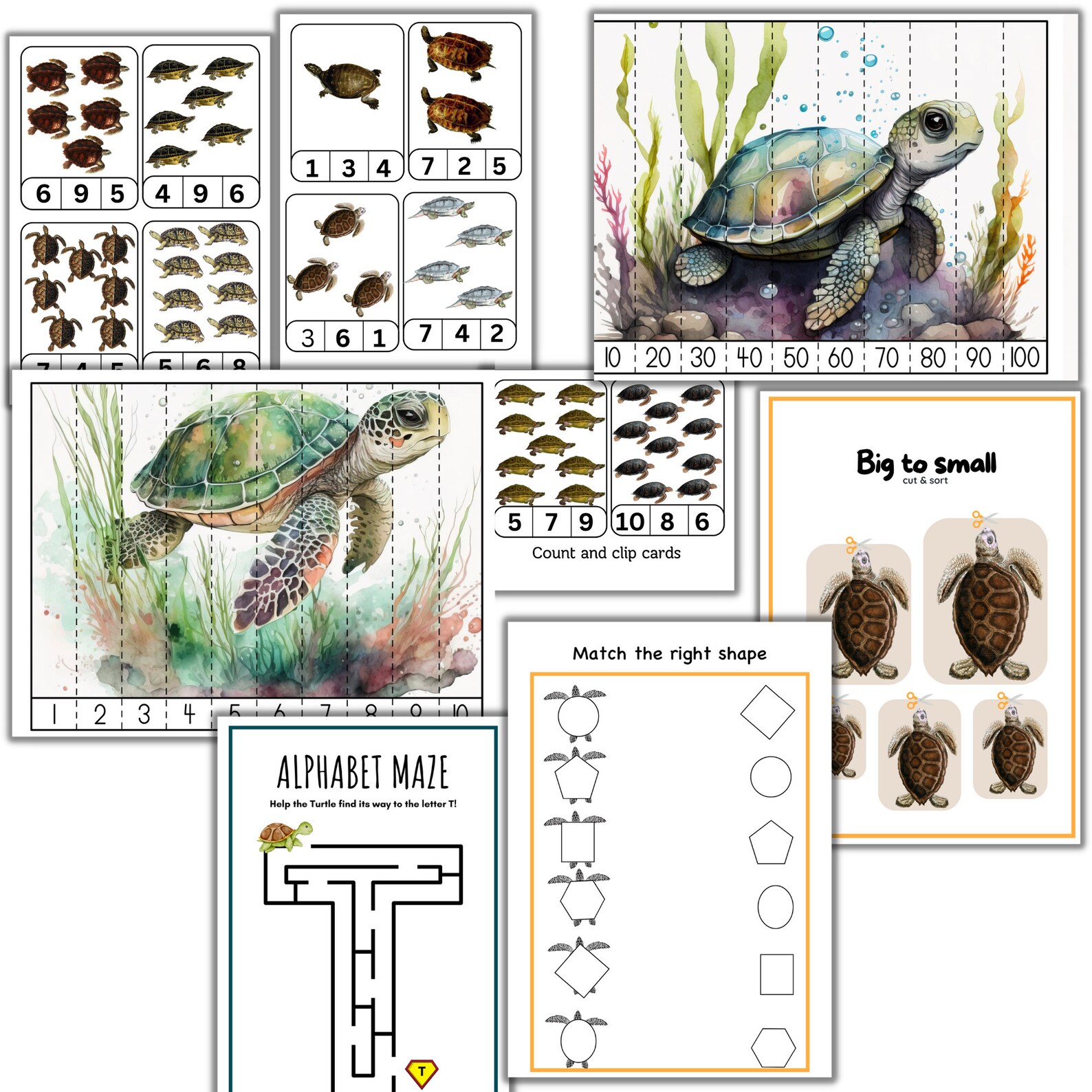 Sea Turtle Mini Unit, Turtle Printable Puzzle, Turtle 3 Part Cards ...