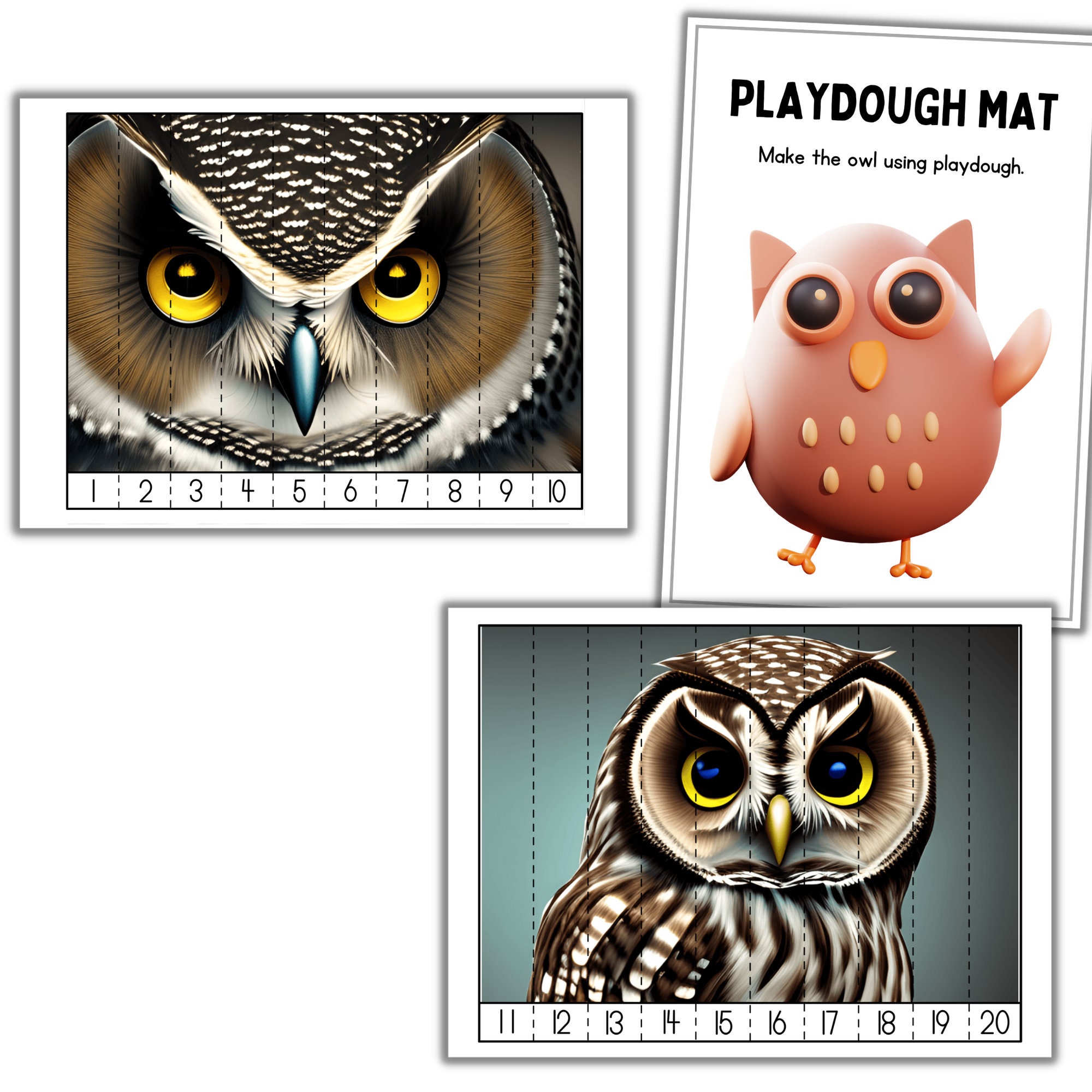 Owl Mini Unit Study, Bird Activities, Nature Study - Etsy