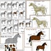 Horse Unit Study, Horse 3 Part Cards, Horse Activities, Horse ...