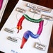 Human Large Intestines Anatomy Printable Activity, Large Intestines ...