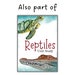 Sea Turtle Mini Unit, Turtle Printable Puzzle, Turtle 3 Part Cards ...