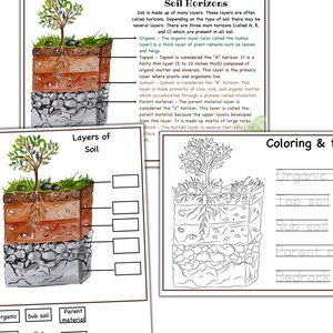 Garden Unit Study, Roots Anatomy, Seed Anatomy, Soil Layers, Roots ...