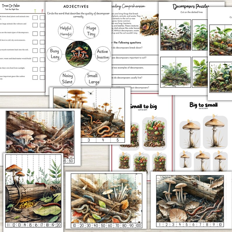 Decomposers Unit Study, Fungi Unit, Nature Study, Food Chain, Ecology ...