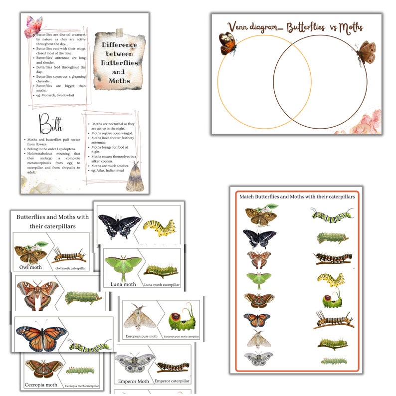 Butterfly Unit Study, Butterfly Printable Puzzle, Butterfly 3 Part ...