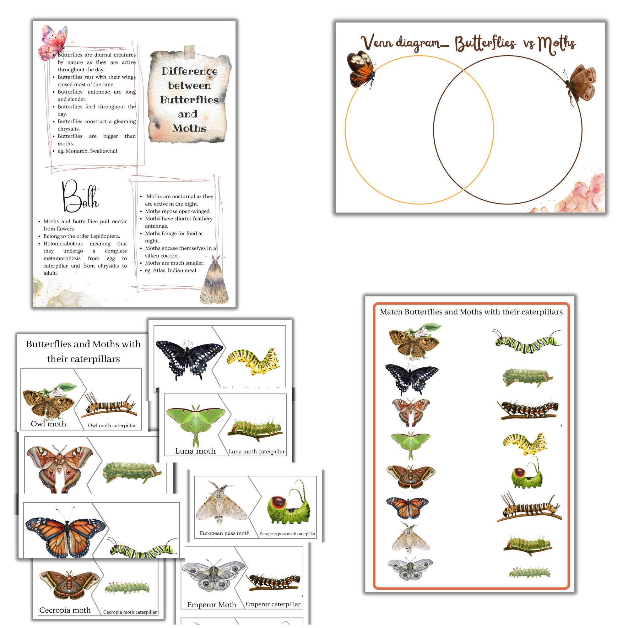 Butterfly Unit Study, Butterfly Printable Puzzle, Butterfly 3 Part ...
