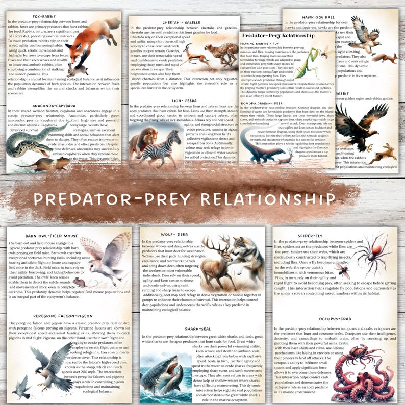Nature in Attack Unit Study, Predators Unit, Lion Unit, Shark Unit ...