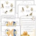 Buy Birds Unit Study, Bird Anatomy, Bird Montessori 3 Part Cards, Owl ...