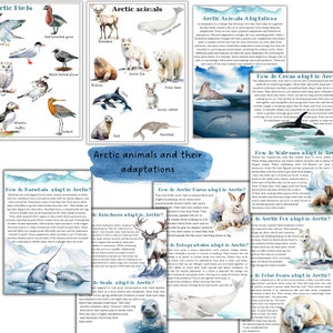 Polar Regions Unit Study, Arctic Unit Study, Antarctica Unit Study ...