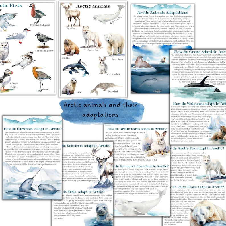 Polar Regions Unit Study, Arctic Unit Study, Antarctica Unit Study ...