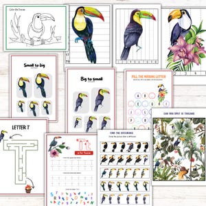 Rainforest Unit Study, Biome Unit , Rainforest Animals Worksheets ...