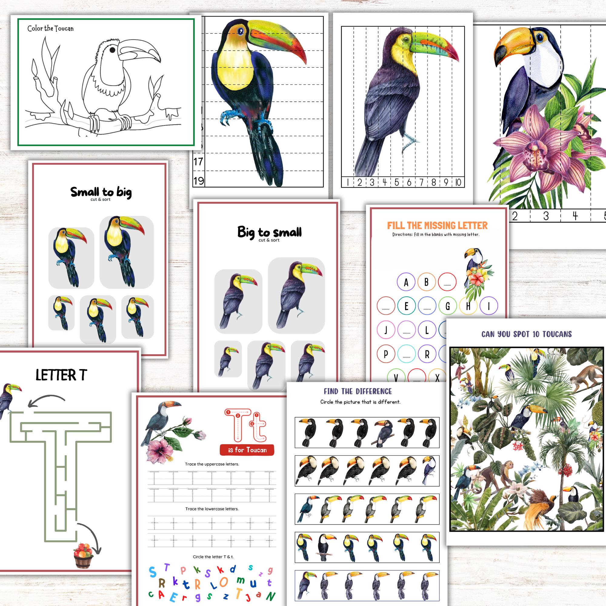 Rainforest Unit Study, Biome Unit , Rainforest Animals Worksheets ...