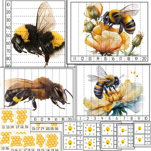 Honey Bee Unit Study, Honey Bee Puzzle Printable, Honey Bees Anatomy ...