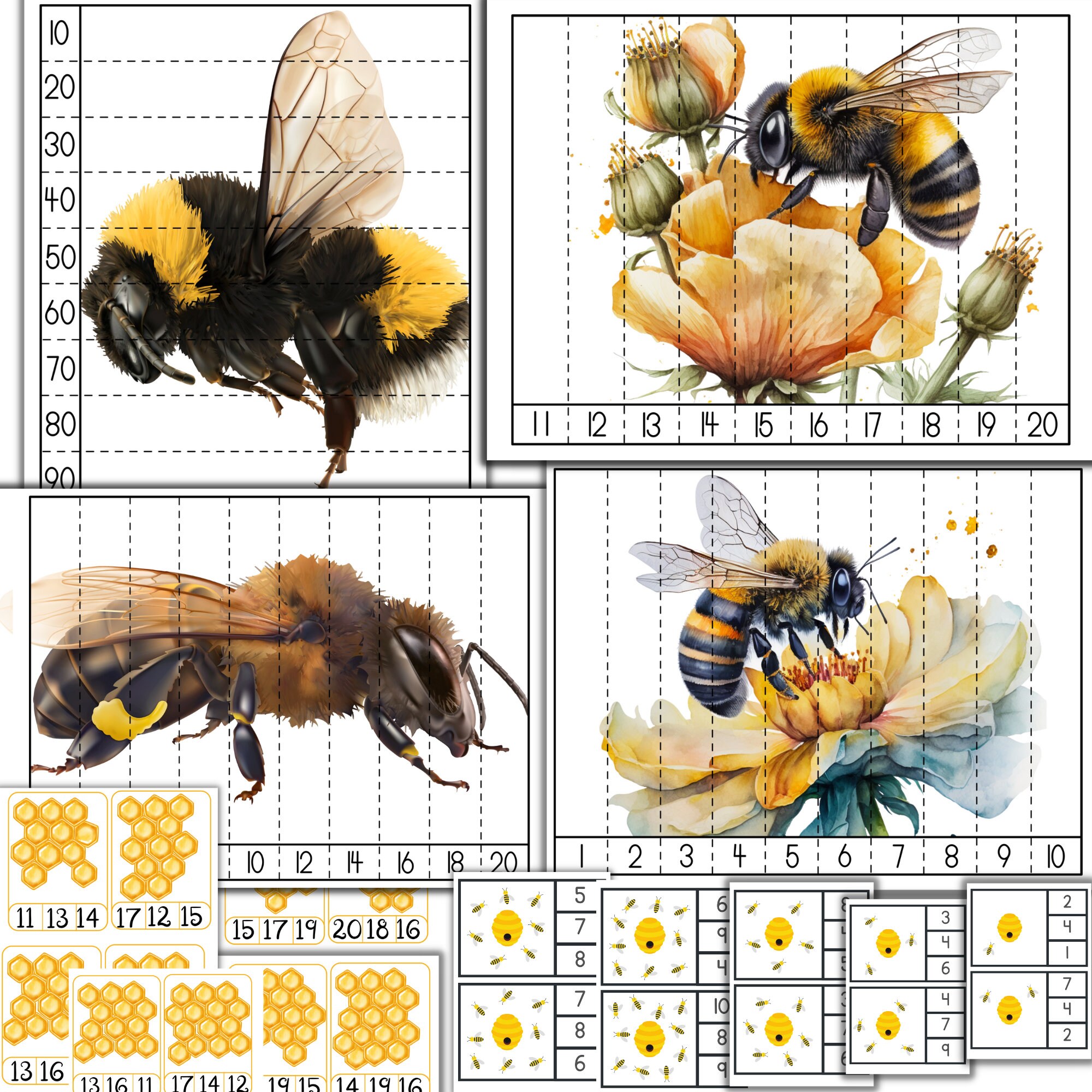 Honey Bee Unit Study Honey Bee Puzzle Printable Honey Bees - Etsy