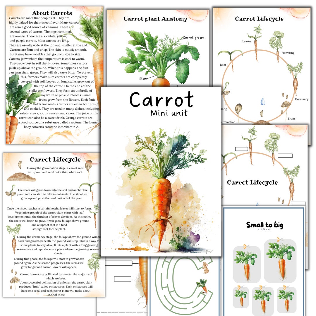 Carrot Unit Study, Vegetable Printable Activity, Nature Home School ...