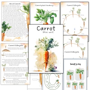 Carrot Unit Study, Vegetable Printable Activity, Nature Home School ...
