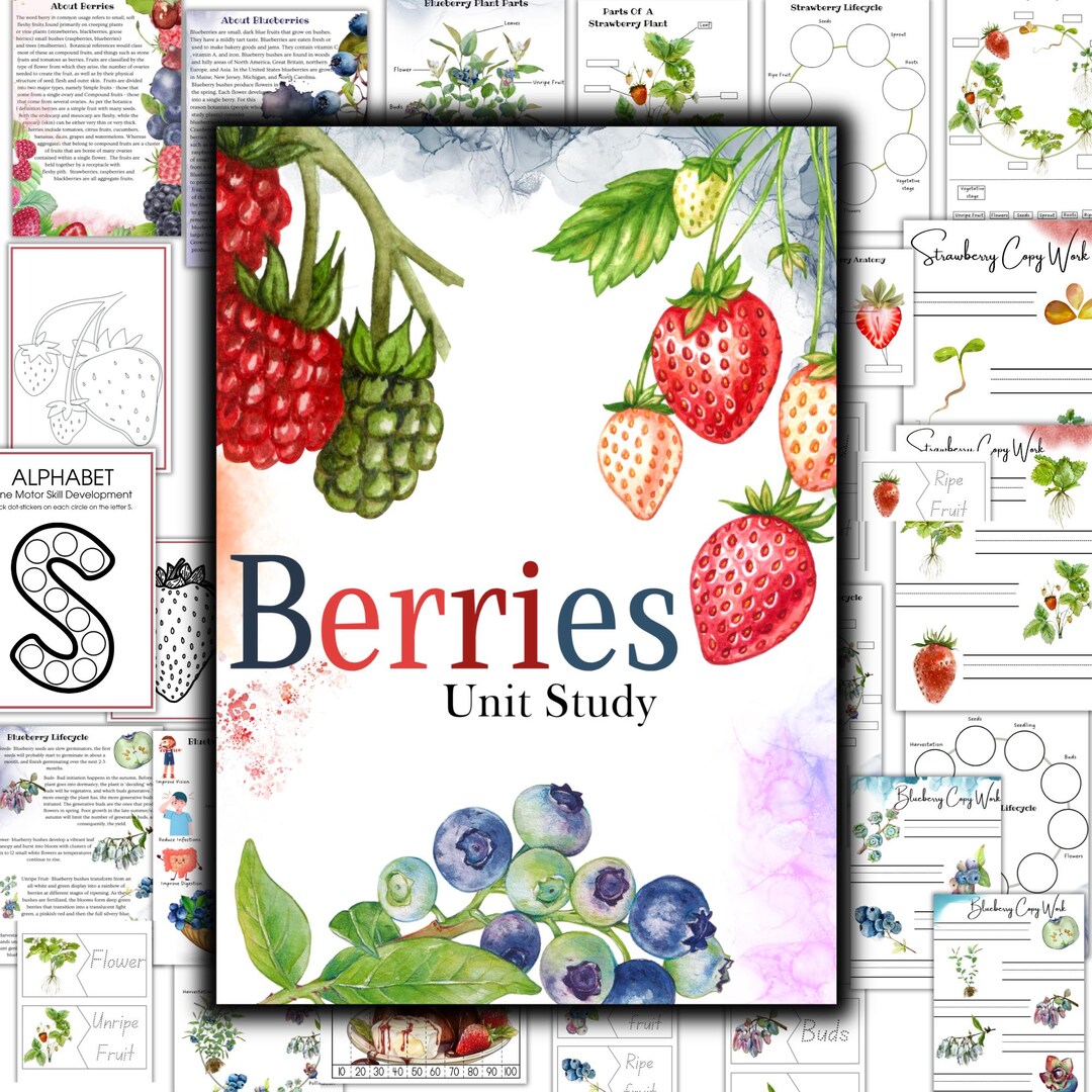 Berries Unit Study, Strawberry Unit Study, Blueberry Unit Study ...