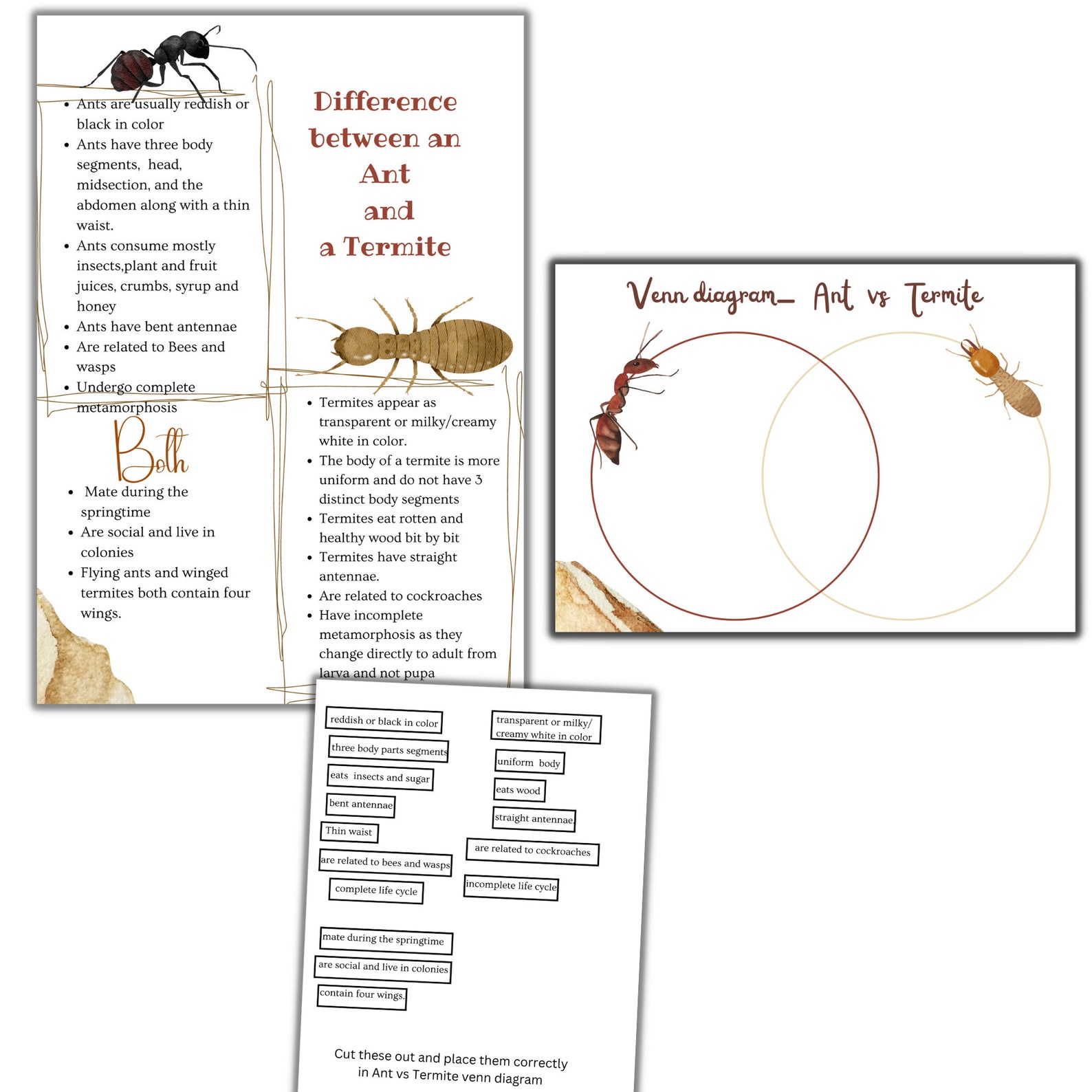 Ant Mini Unit Study, Ant Printable Puzzle, Ant Printable Activities ...