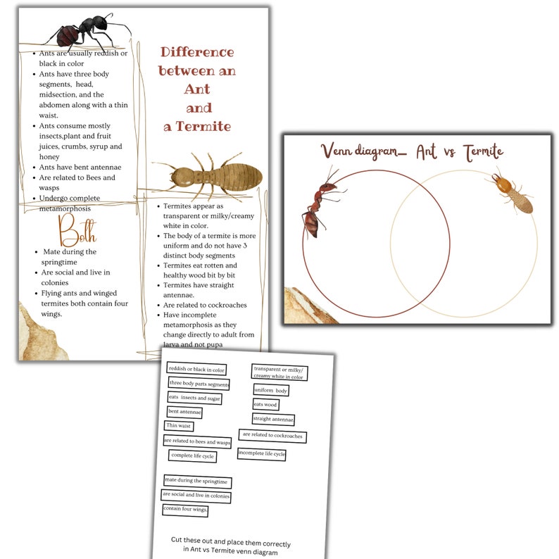 Ant Mini Unit Study, Ant Printable Puzzle, Ant Printable Activities, Nature Study, Insects ...
