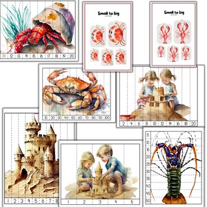 Beach Unit Study, Crab Unit Study, Seashore Animals, Lobster Anatomy ...