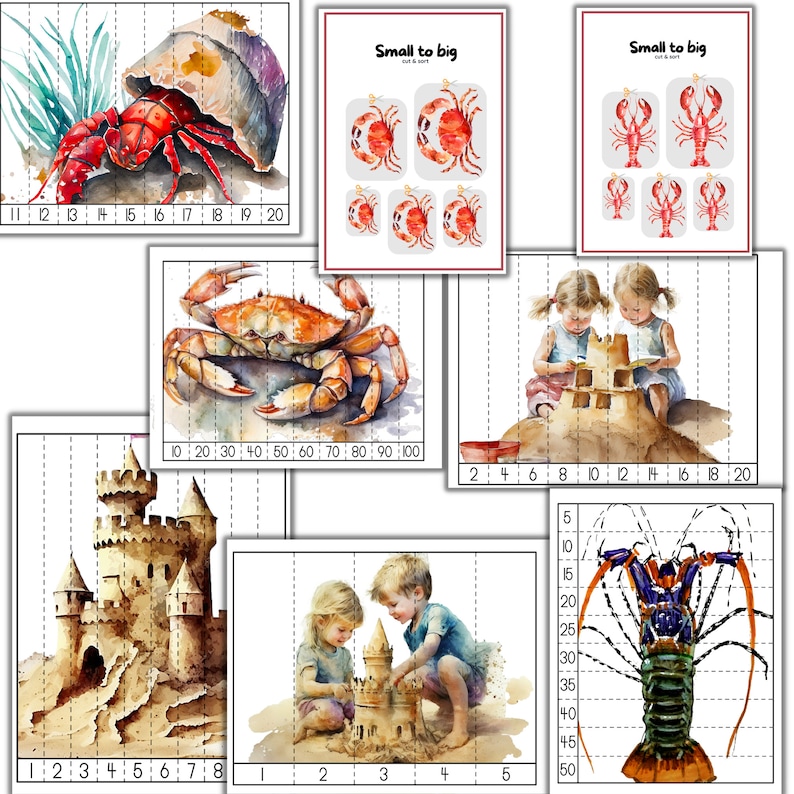 Beach Unit Study, Crab Unit Study, Seashore Animals, Lobster Anatomy ...