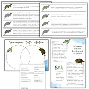 Reptiles Unit Study, Crocodile Unit Study, Turtle Unit Study, Reptiles ...