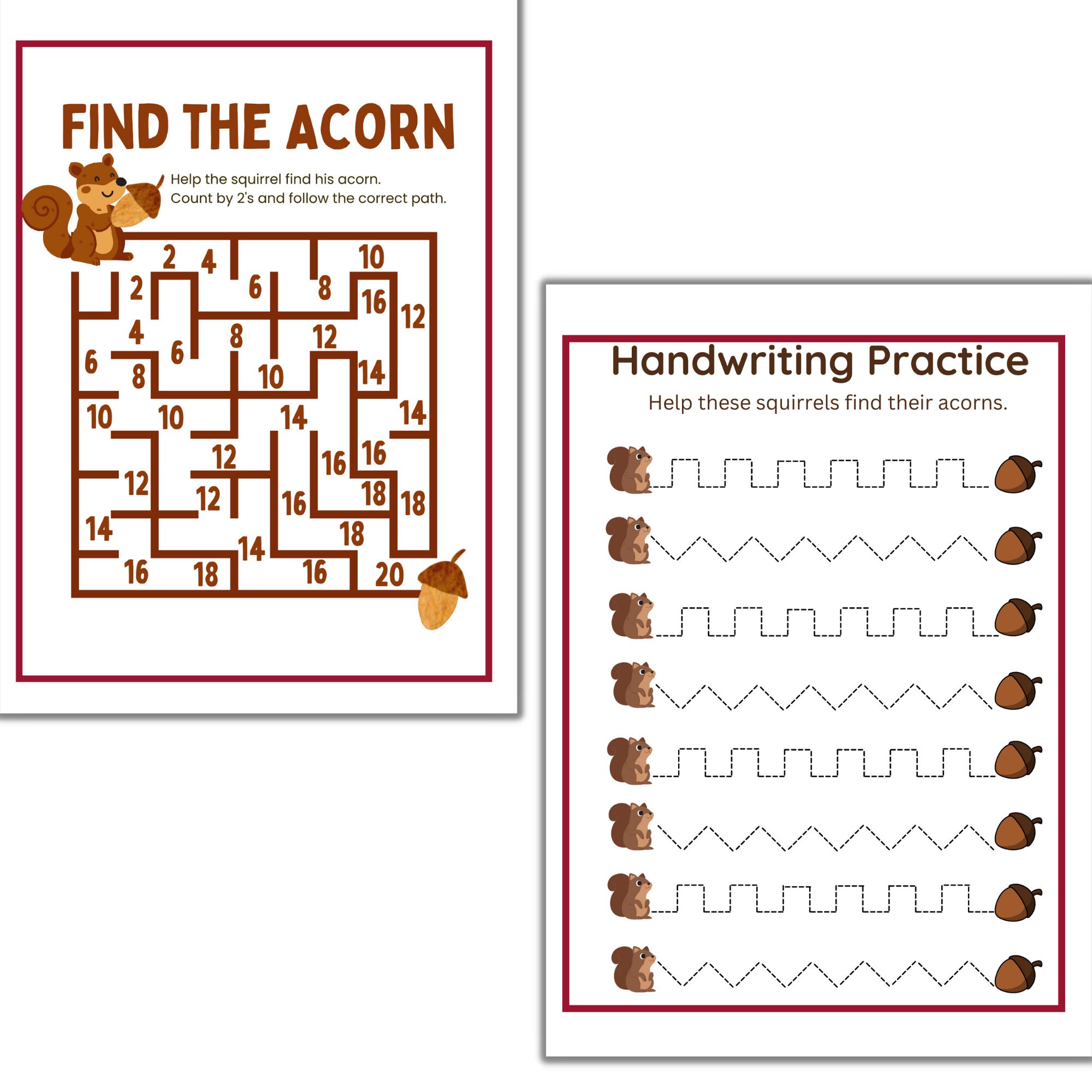 Squirrel Unit Study Squirrel Life Cycle Squirrel Anatomy - Etsy