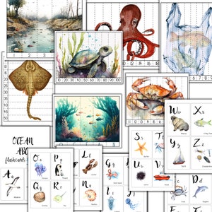 Ocean Unit Study, Ocean Layers, Ocean Animals Study, Ocean Families ...