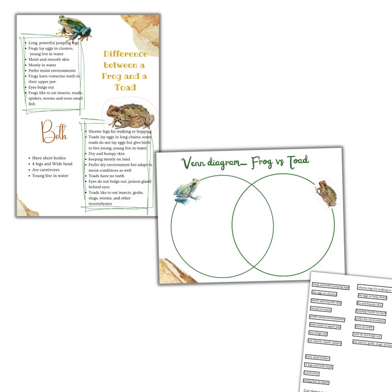 Frog Unit Study, Frog 3 Part Cards, Frog Printable Puzzle, Amphibian ...