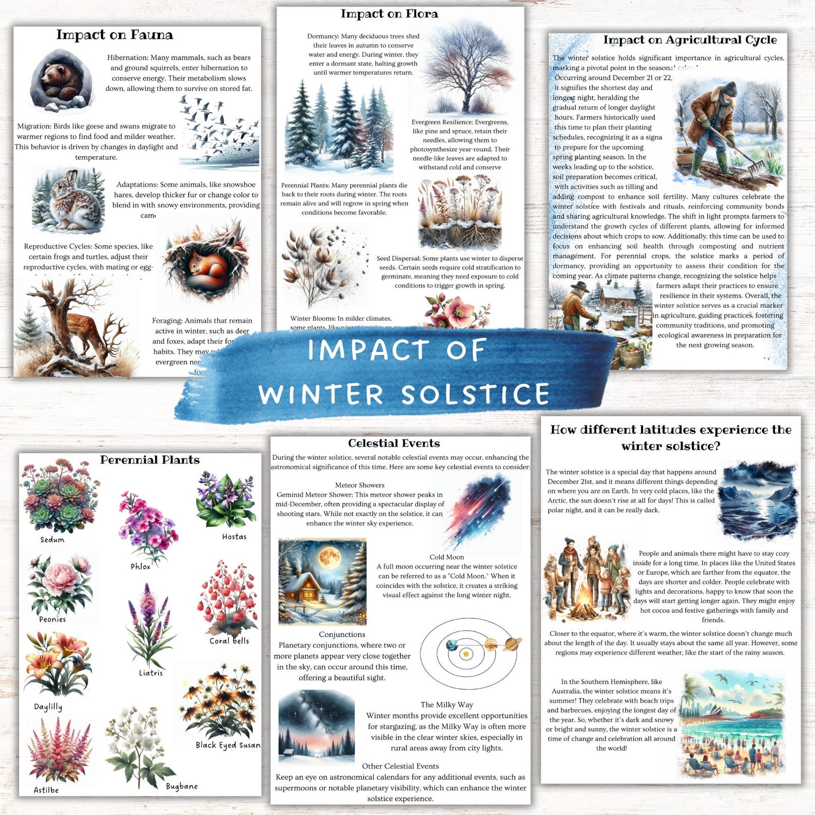 Winter Solstice Unit Study, Winter Full Moon, Winter Solstice ...