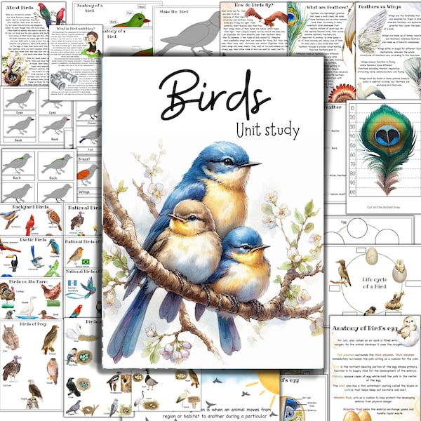 Bird Study - Etsy