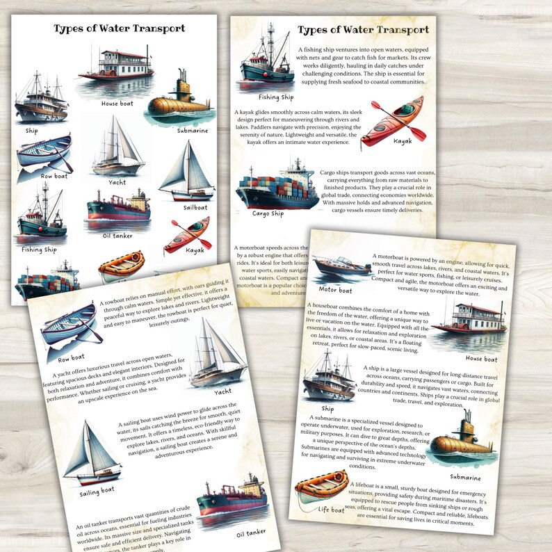 Water Transport Printable, Water Transport Worksheets, Water Transport ...