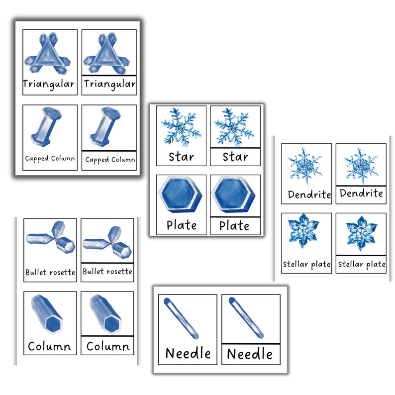 Snow Unit Study, Winter Printable Activity, Snowflake Anatomy ...