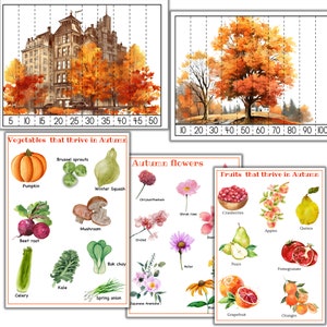 Fall Unit Study, Mushroom Unit Study, Corn Unit Study, Fox Unit Study ...