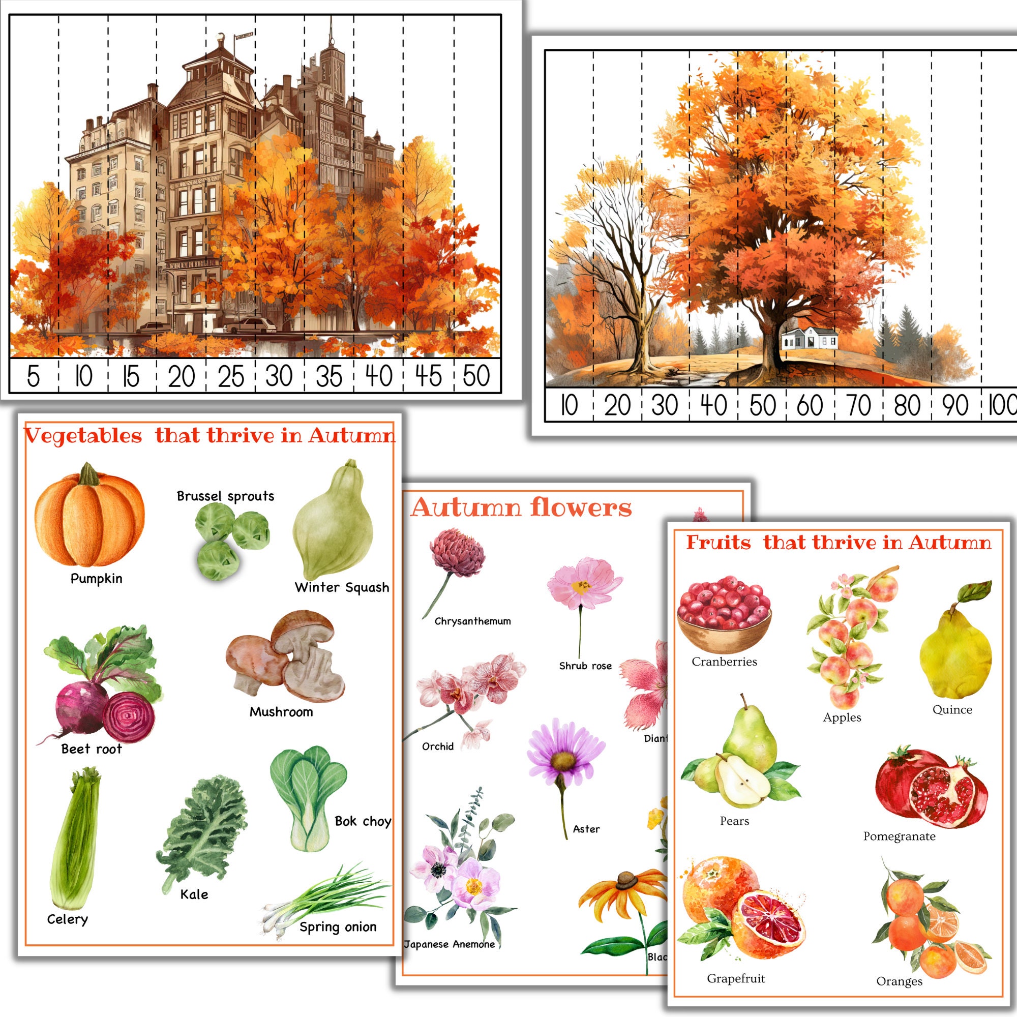 Fall Unit Study, Mushroom Unit Study, Corn Unit Study, Fox Unit Study ...