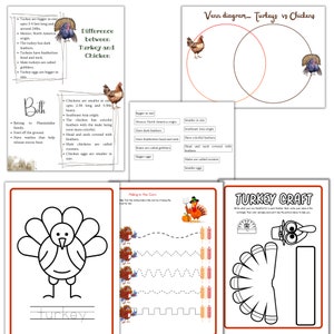 Turkey Unit Study, Thanksgiving Activity, Turkey Anatomy, Turkey Life ...