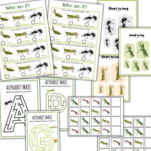 Insects Unit Study, Mini Beast Study, Grasshopper Unit, Ant Unit ...