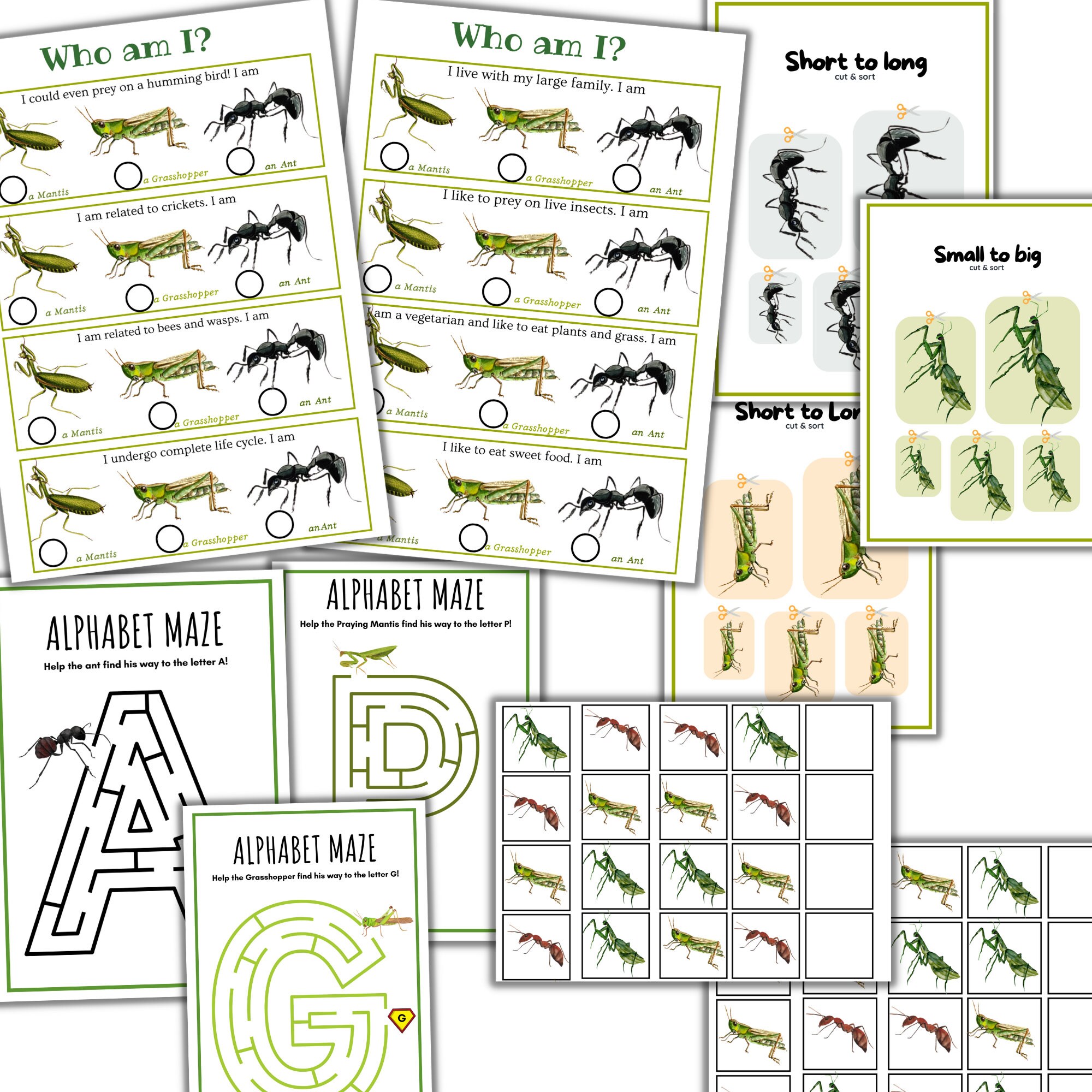 Insects Unit Study, Mini Beast Study, Grasshopper Unit, Ant Unit ...