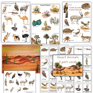 Desert Unit Study, Camel Unit Study, Desert Activities, Biome Unit ...