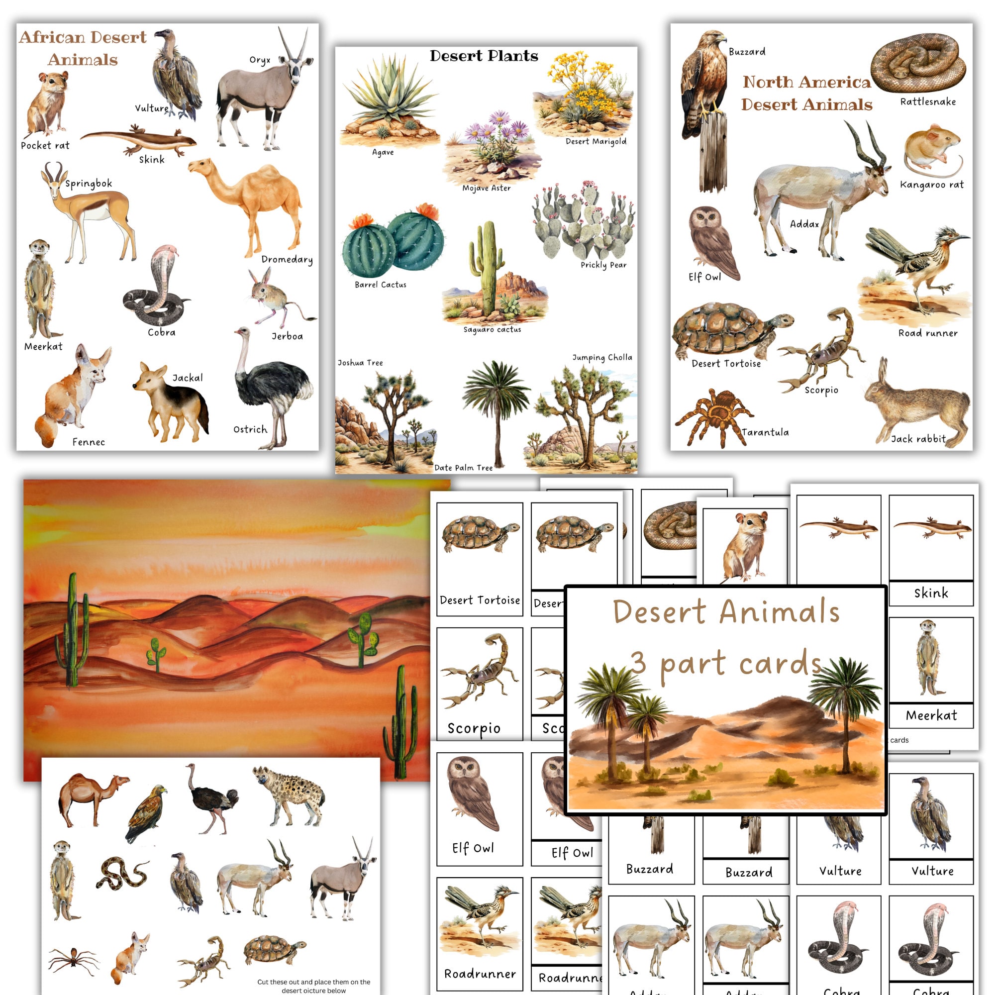 Desert Unit Study, Camel Unit Study, Desert Activities, Biome Unit ...