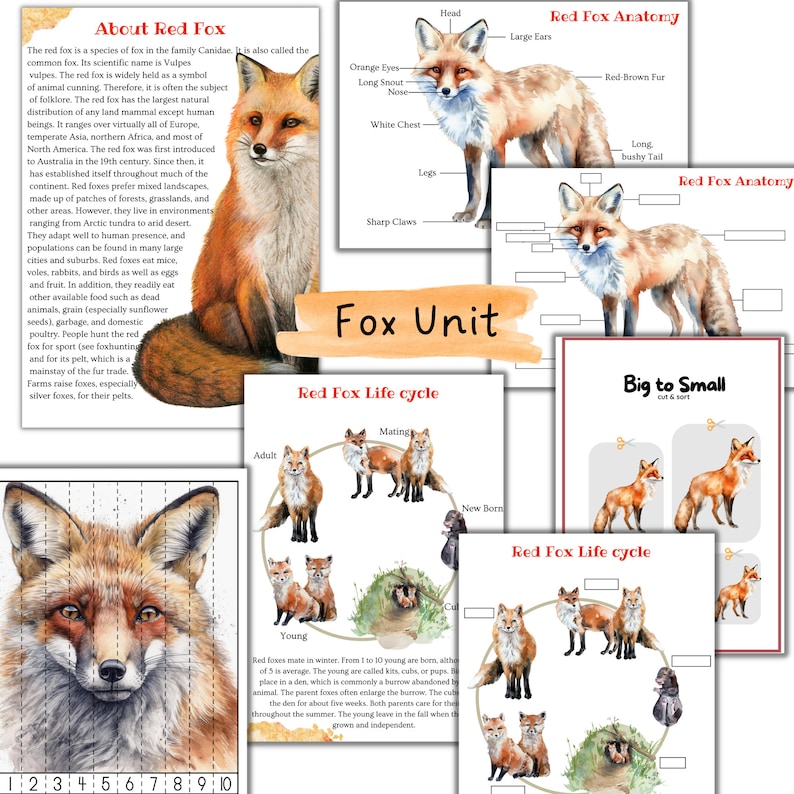 Fall Unit Study, Mushroom Unit Study, Corn Unit Study, Fox Unit Study ...