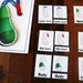 Human Gallbladder Anatomy Printable Activity, Gallbladder Puzzle ...