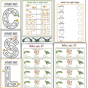 Reptiles Unit Study, Crocodile Unit Study, Turtle Unit Study, Reptiles ...