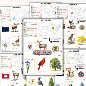 USA 50 States and State Capitals, Geography Lessons, 50 States of USA ...