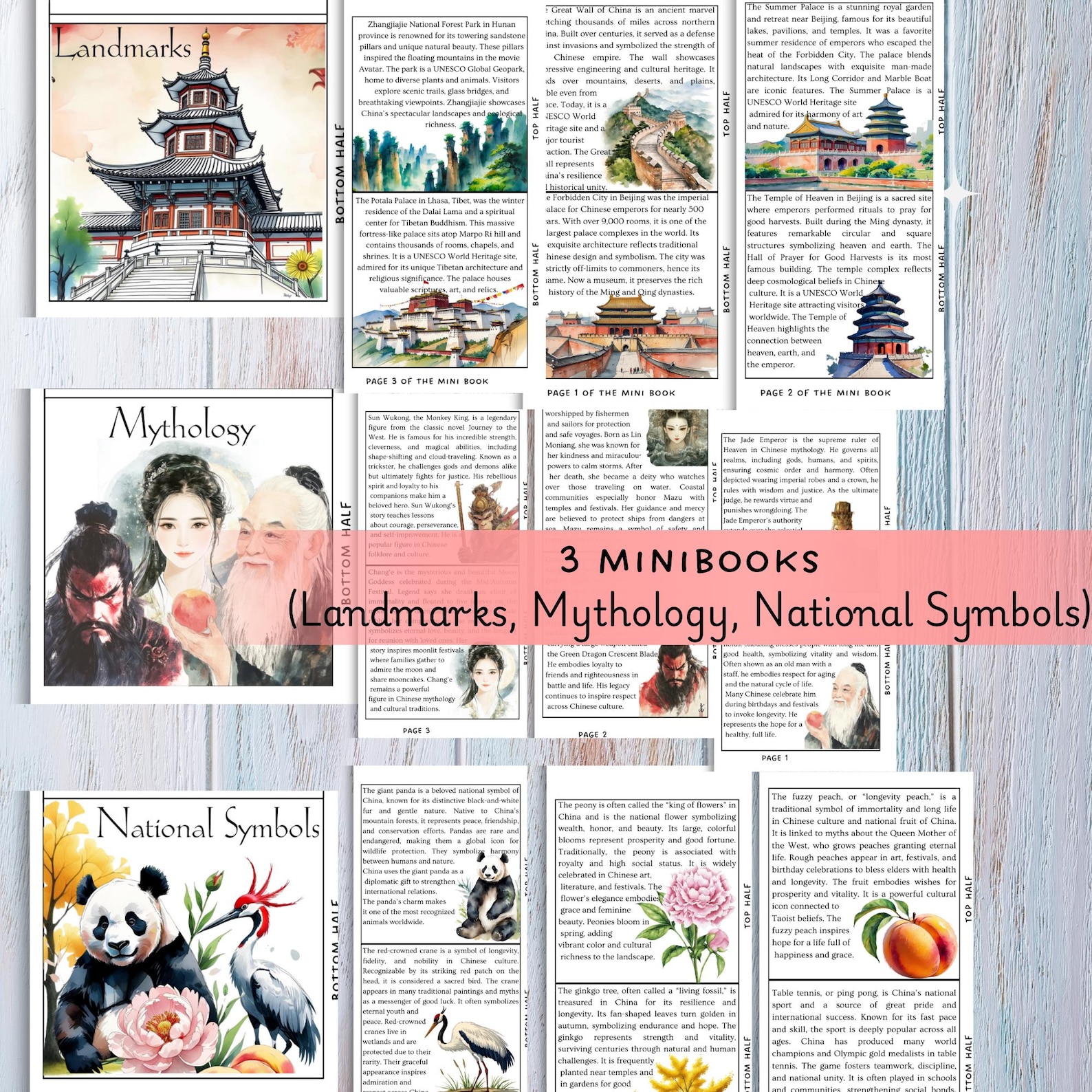 China Lapbook, China Unit Study, China Homeschool, China Geography Unit ...