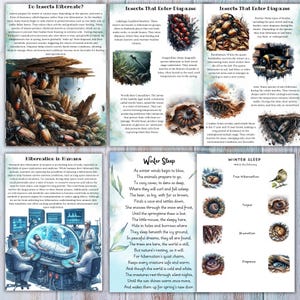 Hibernation Unit Study, Winter Sleep Unit Study, Winter Unit, Winter ...