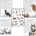 Winter Forest Animals Unit Study, Winter Activities, Animal Tracks Unit ...