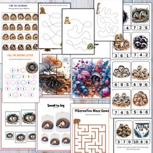 Hibernation Unit Study, Winter Sleep Unit Study, Winter Unit, Winter ...