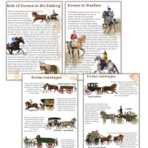 Horse Unit Study, Horse 3 Part Cards, Horse Activities, Horse ...